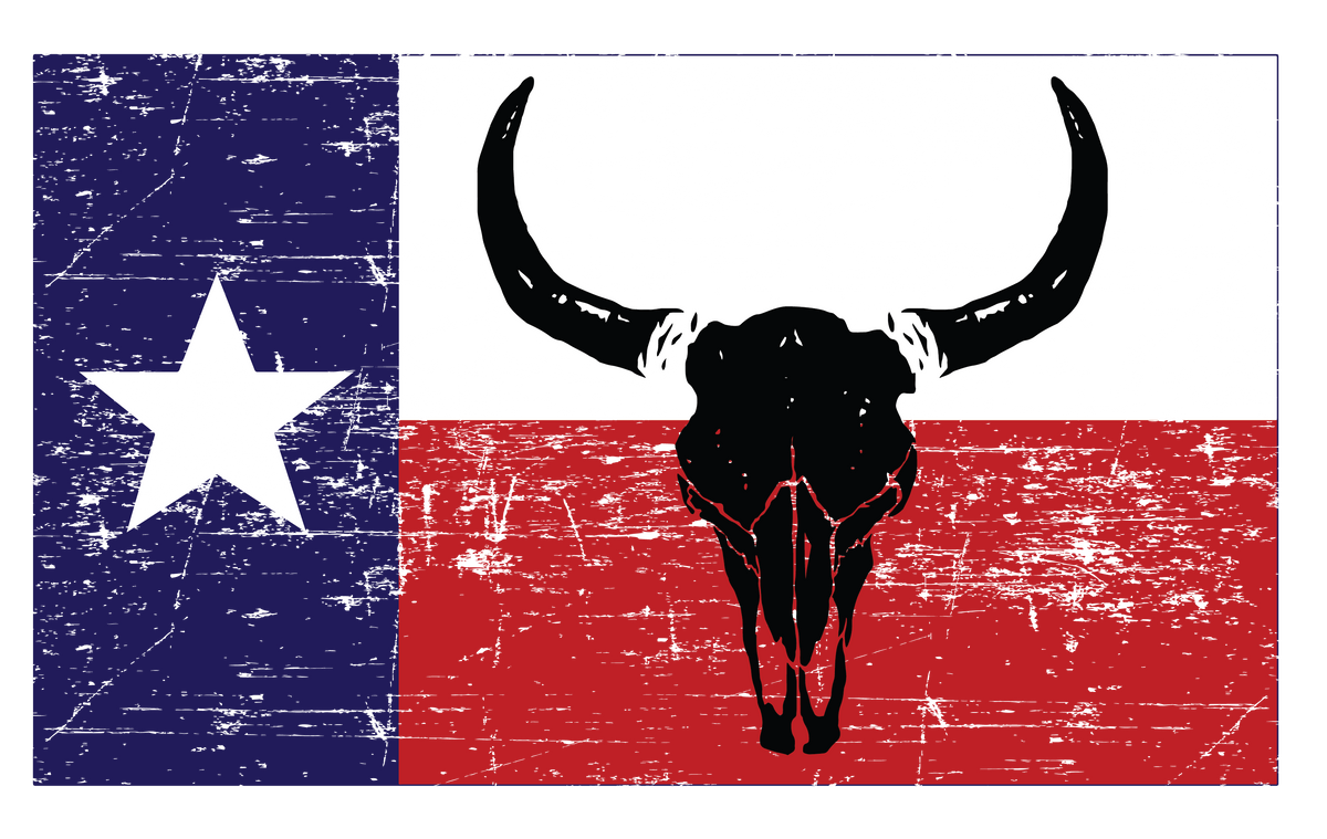 Texas Skull Flag T-Shirt – Gunpowder & Cabernet